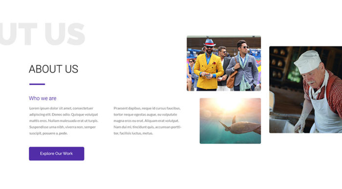 Divi Theme with the Mermaid Bundle Divi UI Kits - a winning Combination